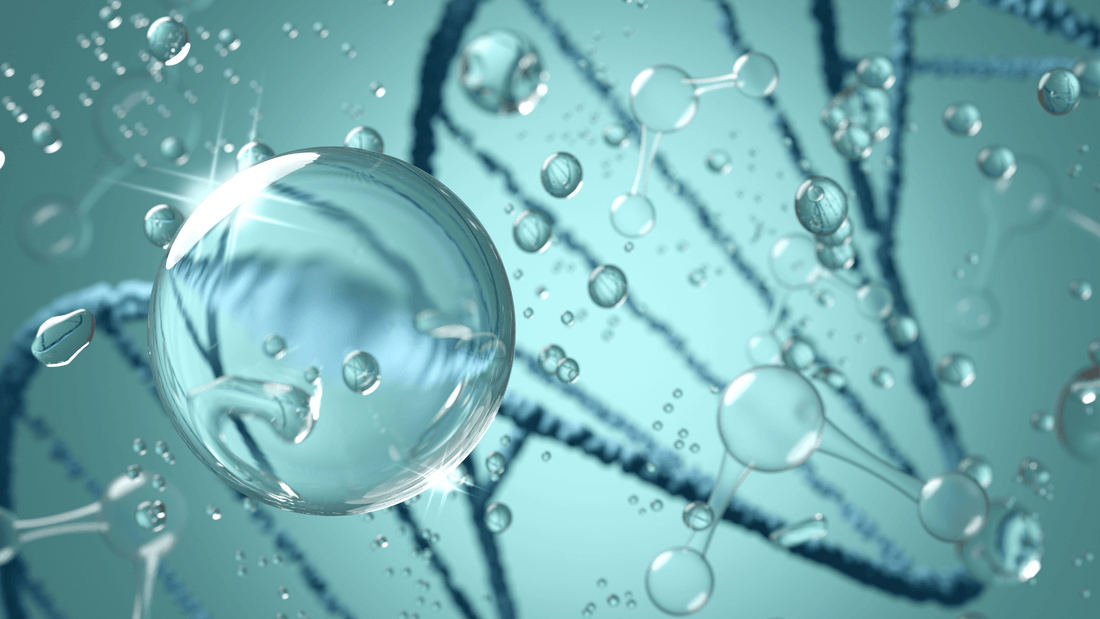 Cellular Hydration - Jiva Water