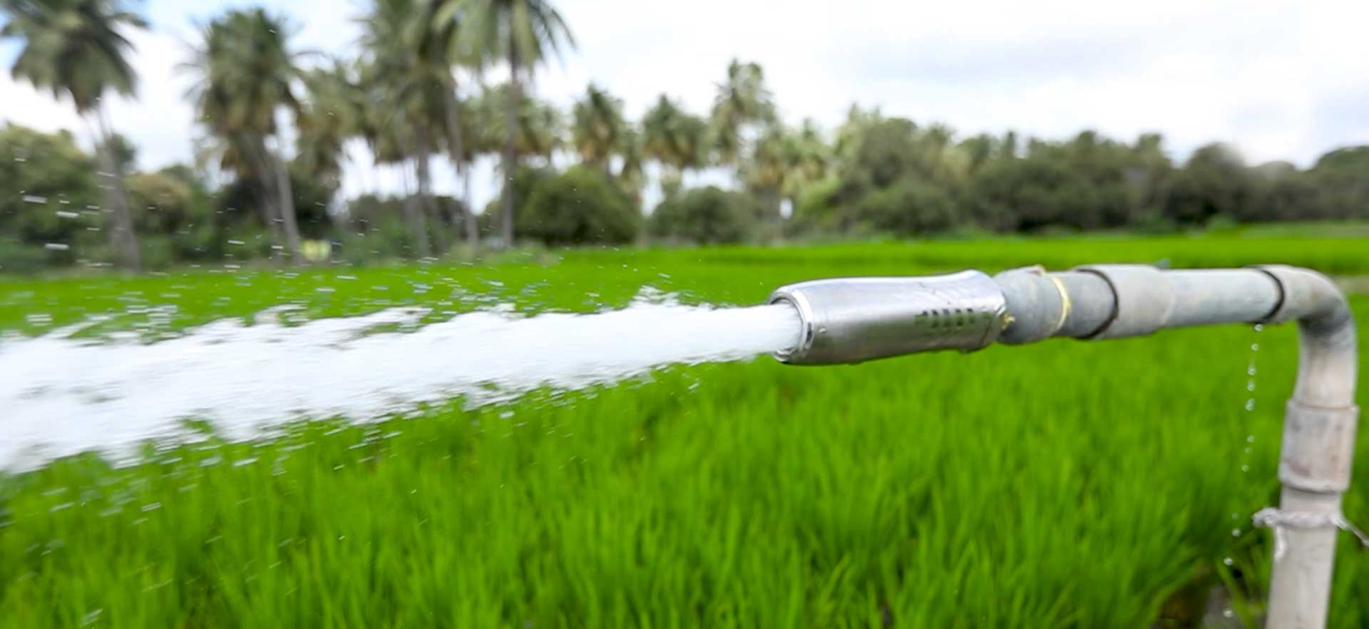 Farm - Jiva Water