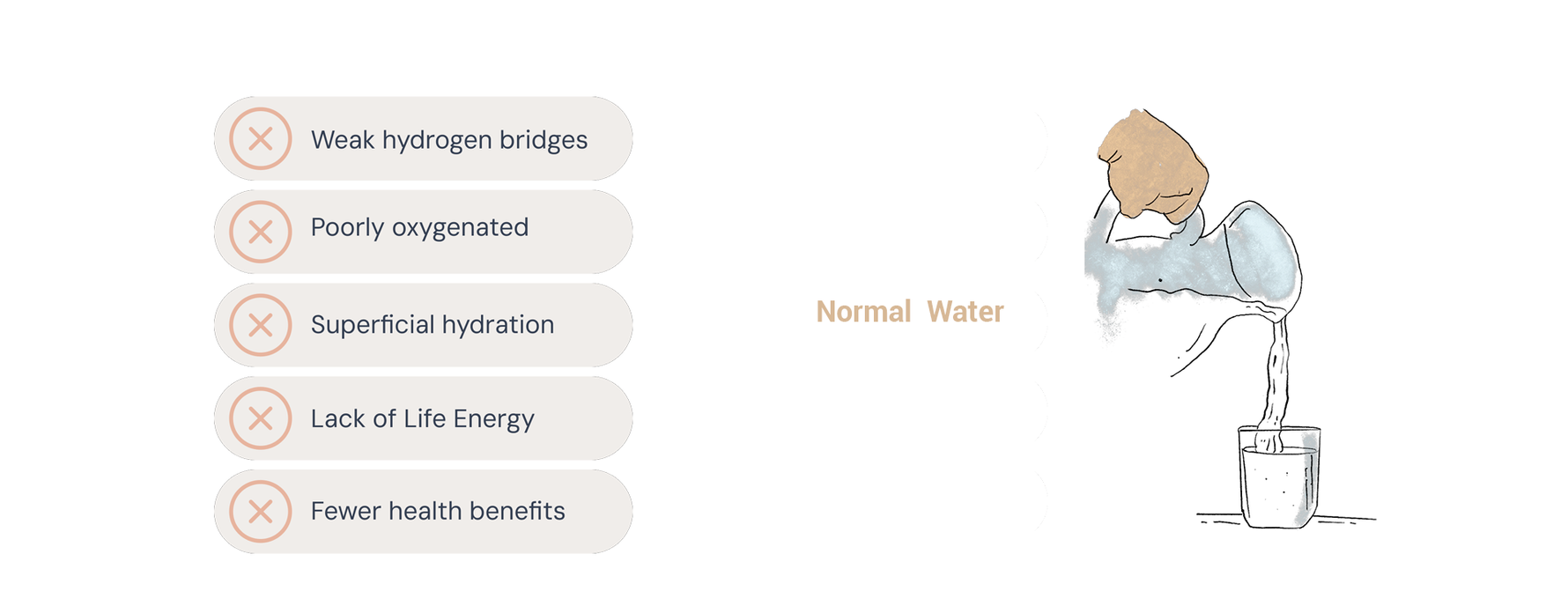 Jiva Water Jiva Water Devices - Fresh, Energized Water for a Healthier You