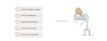 Jiva Water Jiva Water Devices - Fresh, Energized Water for a Healthier You