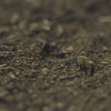 JIVA Water - Full of Life – Jiva Water